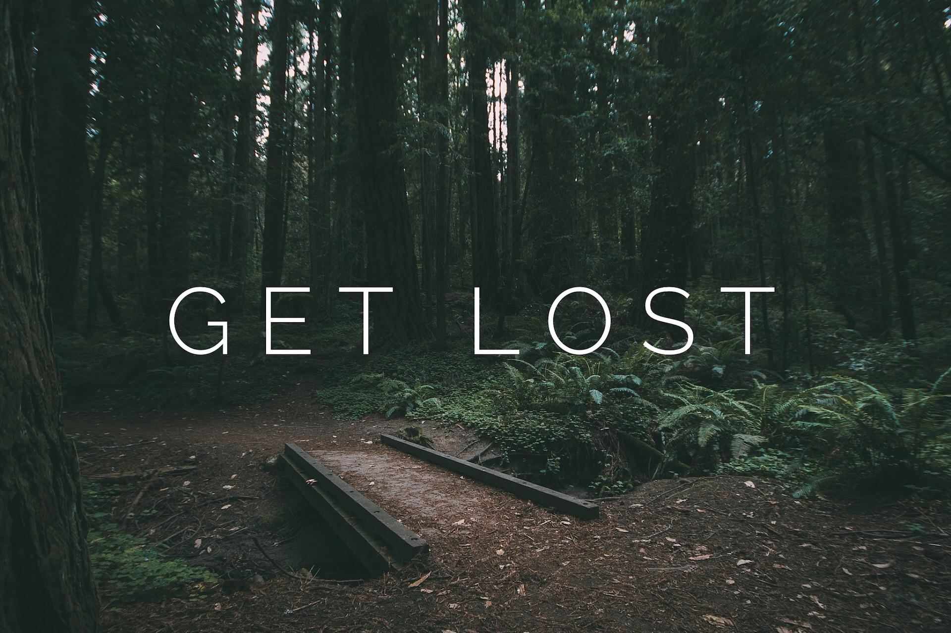 The beauty of getting lost – Chapter 4